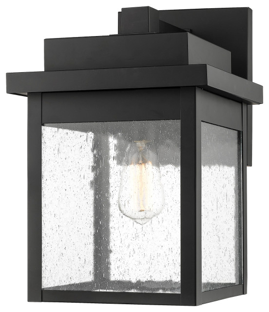 1-Light 12.5" Outdoor Fixture - Transitional - Outdoor Wall Lights And ...