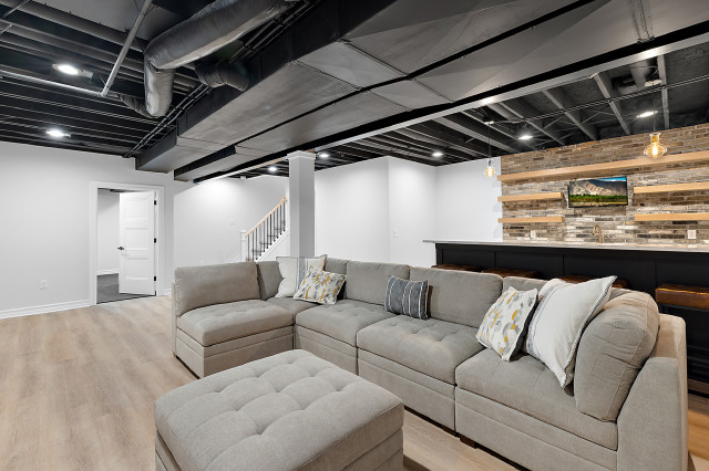 Forest Finished Basement - Craftsman - Basement - Detroit - by Alimoff ...