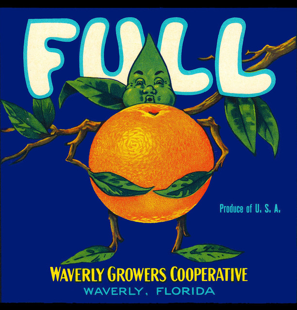 "Full" Florida Citrus Print, 11"x17" - Contemporary - Prints And ...