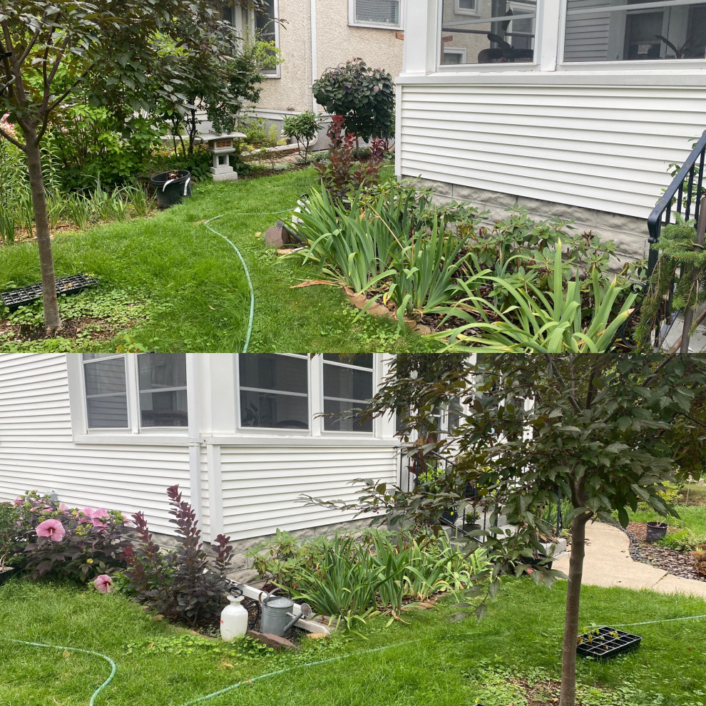 Evergreens For Corner Of House 10 Narrow Trees For Small Gardens And