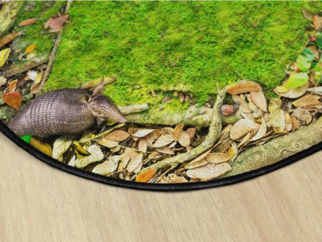 Flagship Carpets VA1005-27FS 6' Round Forest Floor Seating Educational ...