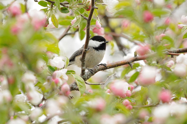 10 Ways to Make Your Landscape More Environmentally Friendly