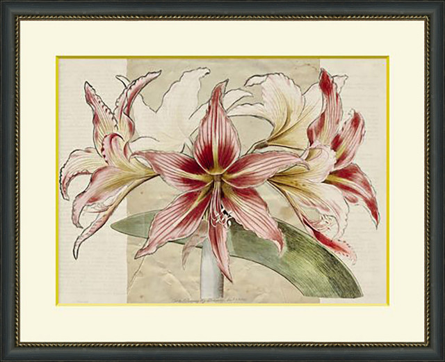 Red Lilies 2, Giclee Reproduction Artwork, 32x26 - Traditional - Prints ...