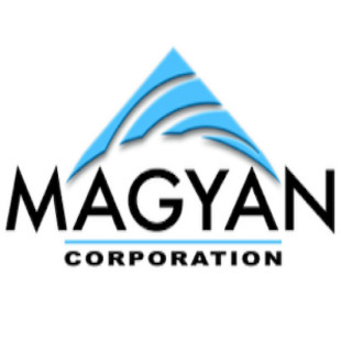 MAGYAN CORPORATION - Project Photos & Reviews - Bartlett, IL US | Houzz