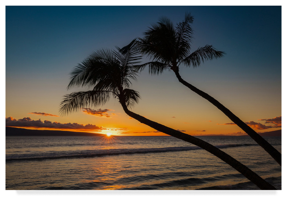 Pierre Leclerc 'Silhouette of the Tropics' Canvas Art, 19"x12 ...