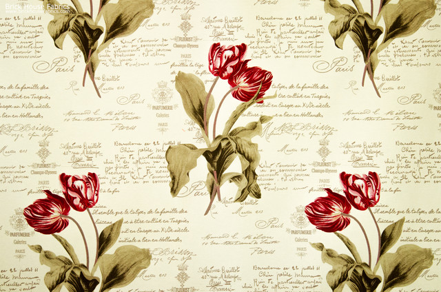 French script fabric tulips Paris - Traditional - Fabric - other metro ...