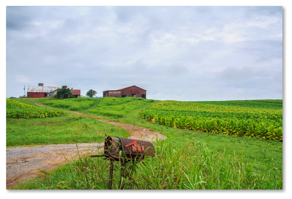 Bob Rouse 'Rusty Mailbox' Canvas Art, 12"x19" - Farmhouse - Prints And ...