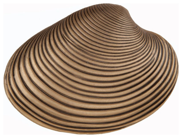 Clam Shell Cabinet Knob, Museum Gold - Beach Style - Cabinet And Drawer ...