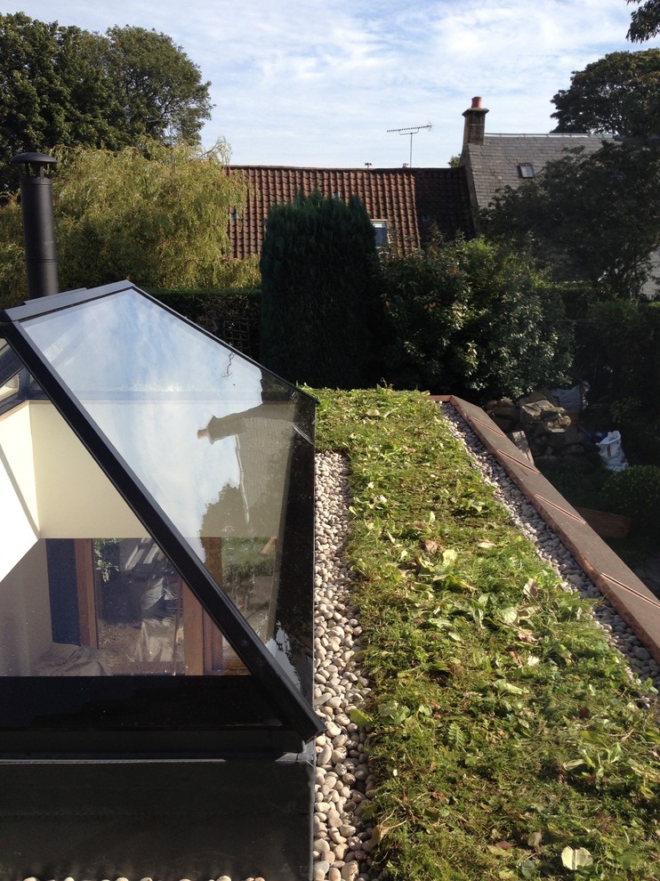 Green roof extension - Contemporary - Other - by Fife Architects | Houzz IE