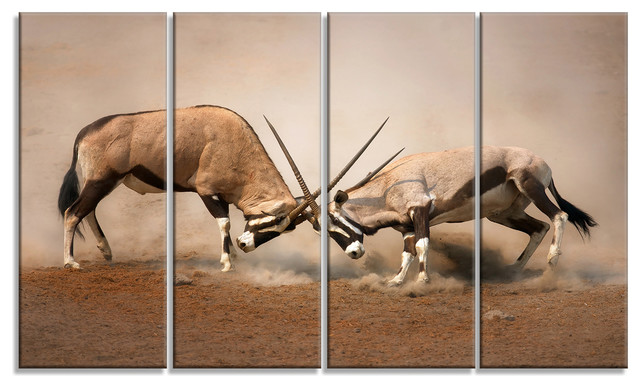 Gemsbok Antelopes Fighting, African Wall Art Print, 48"x28", 4 Panels ...