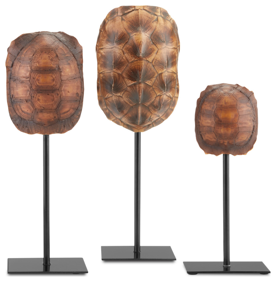 Turtle Shells, 3-Piece Set - Beach Style - Decorative Objects And ...