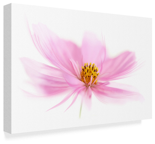 "Dancing Flower Pink Cosmos" by Cora Niele, Canvas Art, 22"x32 ...