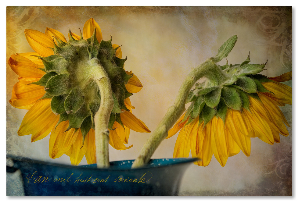 Bob Rouse 'Just Friends' Canvas Art, 12"x19" - Farmhouse - Prints And ...