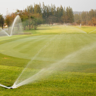 ARVIZO TURF AND PAVER INSTALLATIONS, LLC - Project Photos & Reviews ...