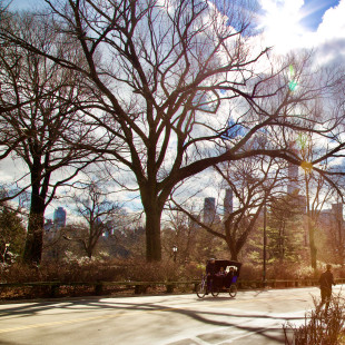 LISA WARD - Project Photos & Reviews - San Dimas, CA US | Houzz