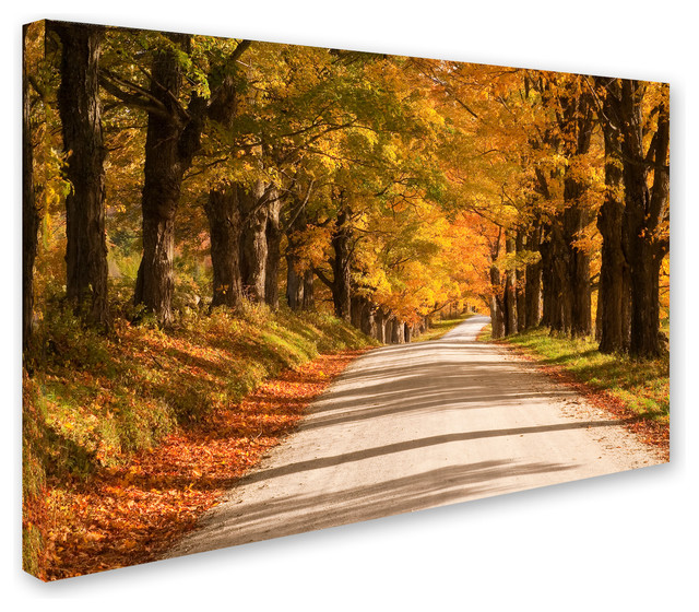 Michael Blanchette Photography 'Maple Canopy' Canvas Art, 24x16 - Contemporary - Prints And ...