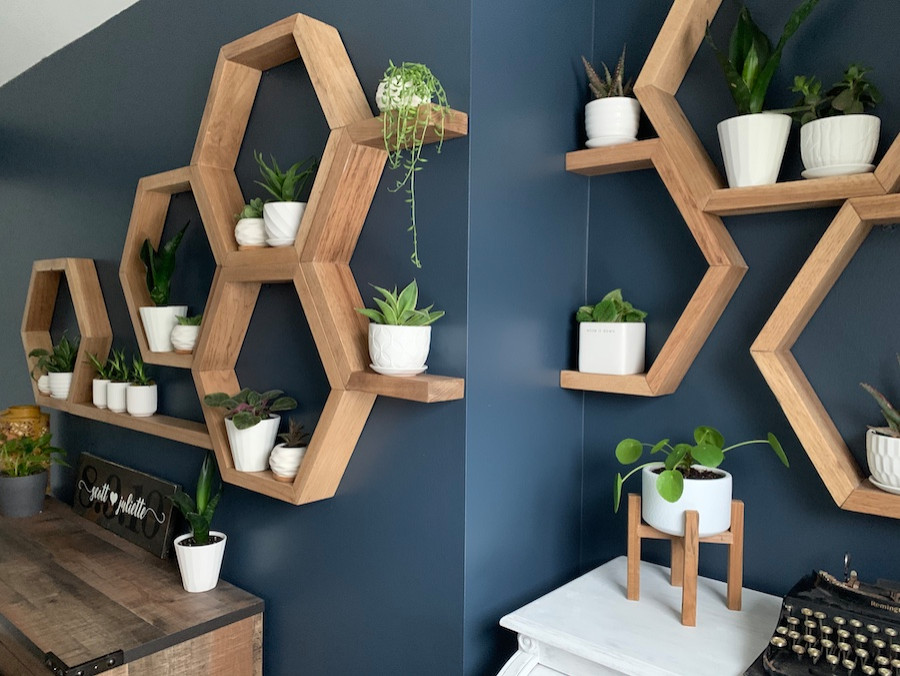10 Style-Boosting Design Ideas for Your Indoor Plants | Houzz NZ