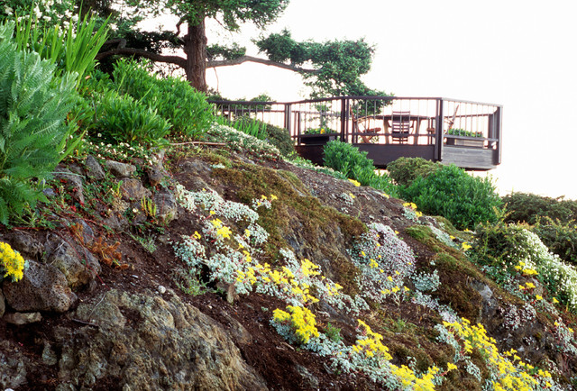 Design a Garden by Looking at Its Roots