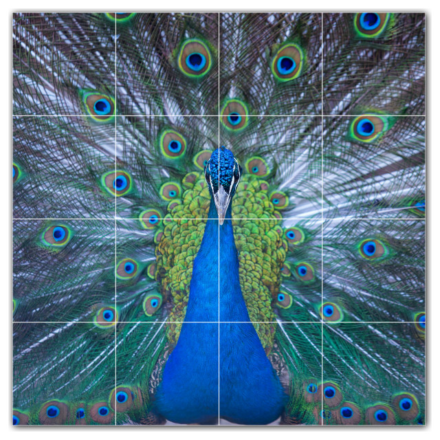 Bird Ceramic Tile Wall Mural HZ500189, 48" Wide x 48" High - Tropical ...