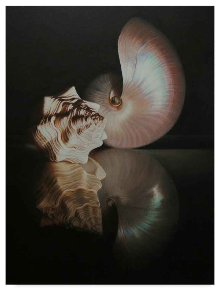 Cecile Baird 'Pearl Nautilus' Canvas Art, 35"x47" - Beach Style ...