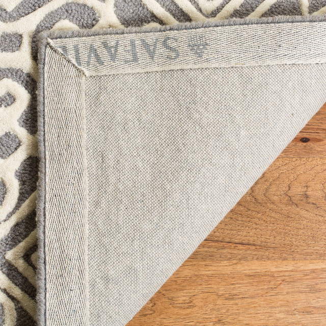 Safavieh Cambridge Rug, Dark Gray/Ivory, 2'x3' - Contemporary - Area ...