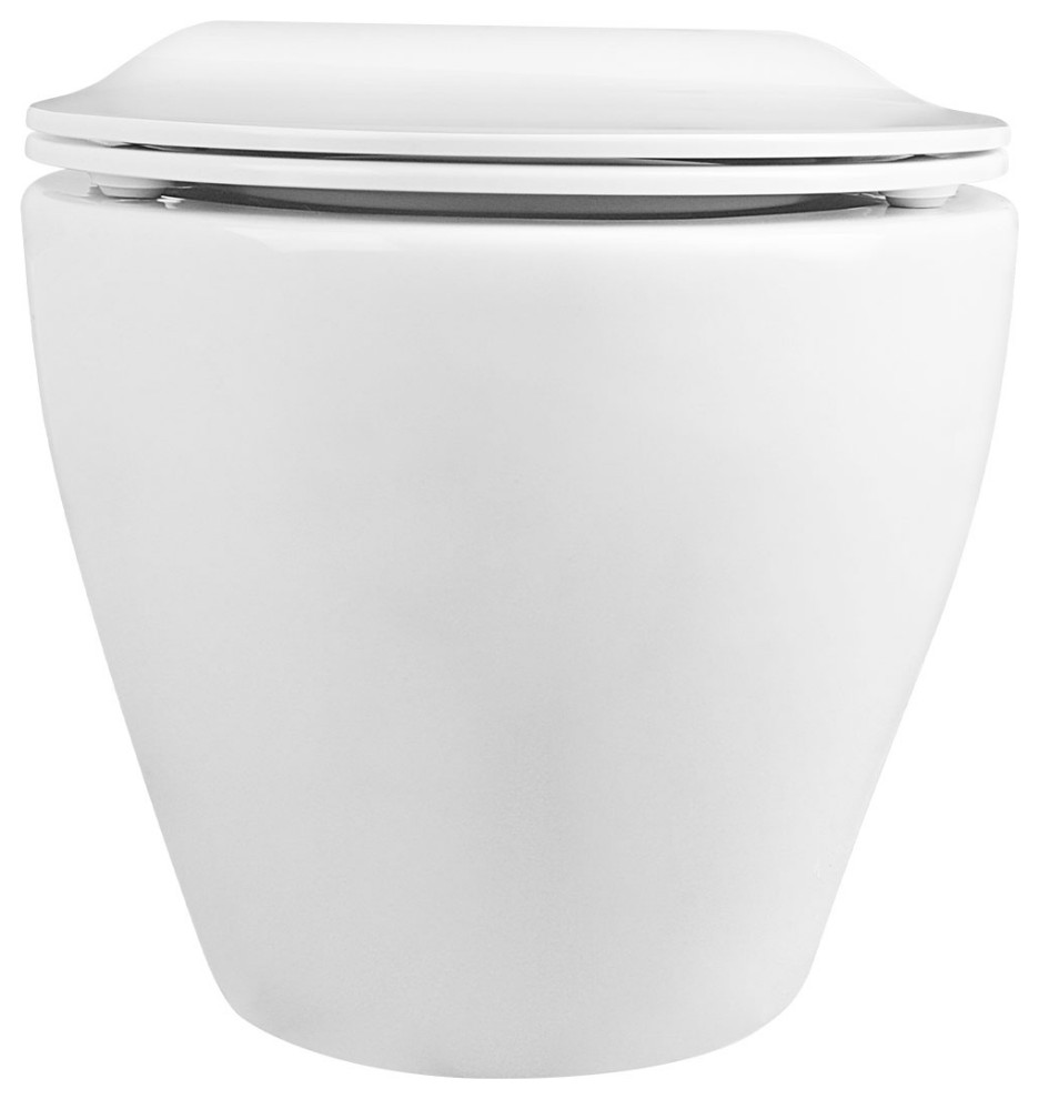 Wall Mounted Dual Flush Toilet with Soft Closing Seat Compact Bowl ...