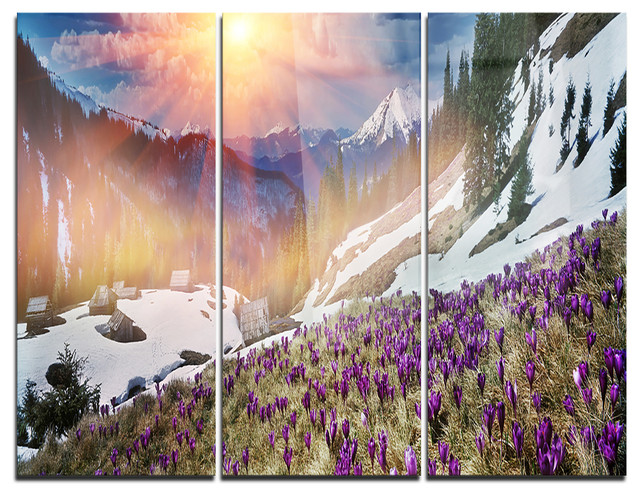 "Crocus Flowers in Carpathians" Photo Metal Wall Art, 3 Panels, 36"x28 ...
