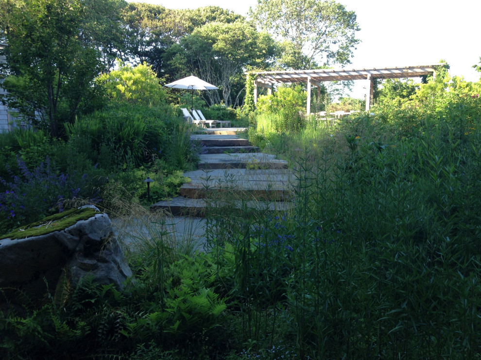 East Hampton, NY - Revegetation Design and Installation - Contemporary ...
