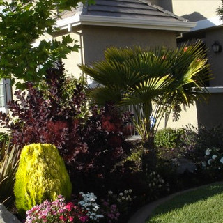 FULL BLOOM LANDSCAPING - Project Photos & Reviews - Concord, CA US | Houzz