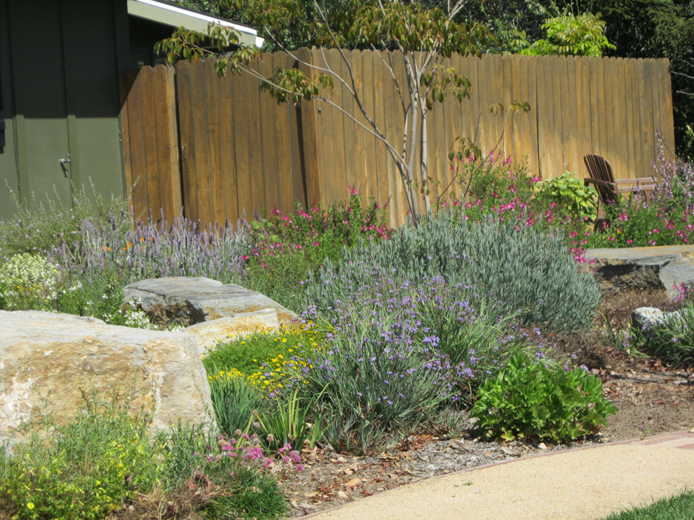 Native Landscaping Ideas