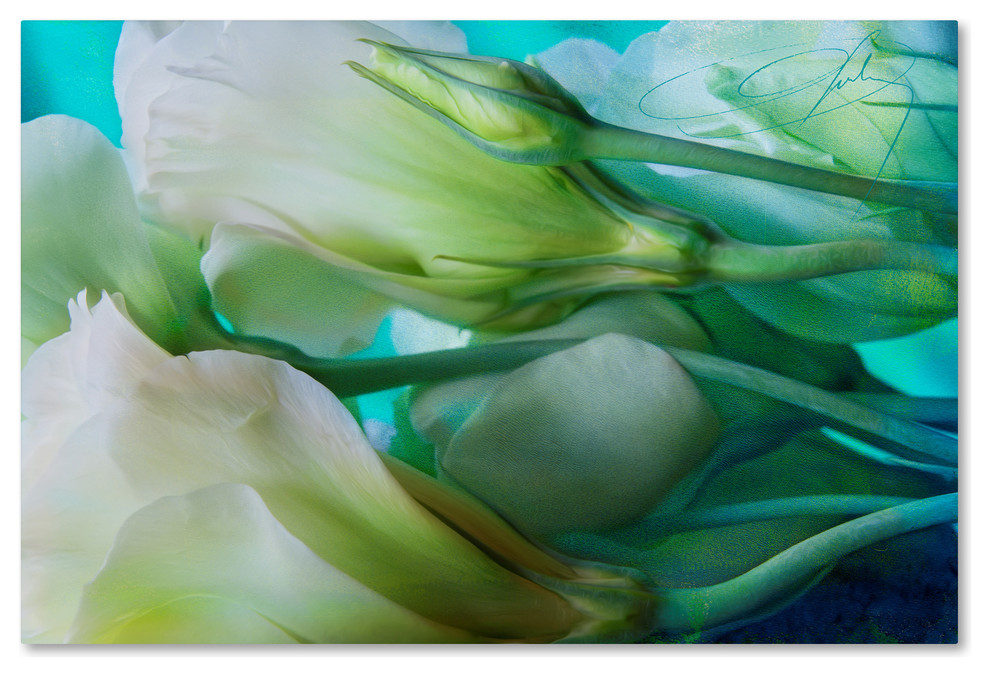 Bob Rouse 'Enchanting' Canvas Art, 22"x32" - Contemporary - Prints And ...