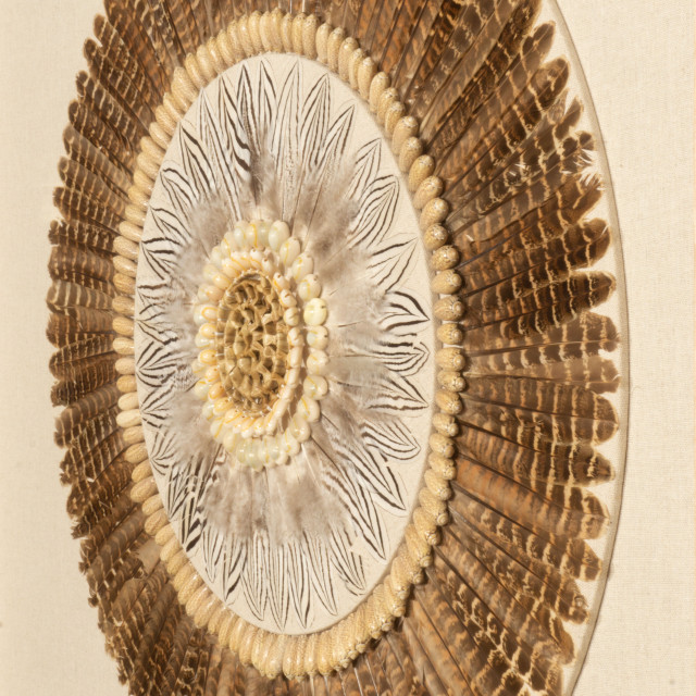 Feather & Shell Wreath Shadow Box Wall Décor - Contemporary - Wall ...