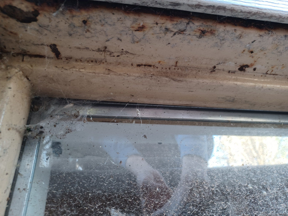rusting basement window frame problem or not?