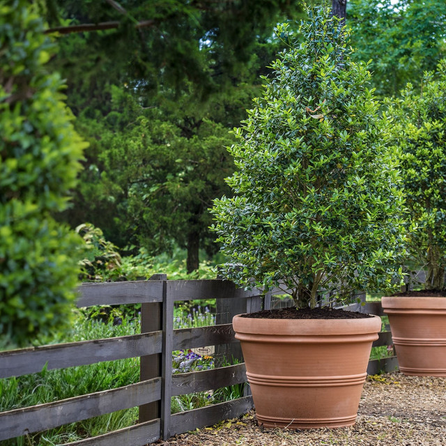 Brunello Planter, 14" - Traditional - Outdoor Pots And Planters - by ...