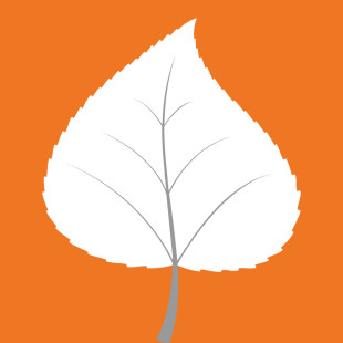 ASPEN DESIGN STUDIO - Project Photos & Reviews - Durango, CO US | Houzz