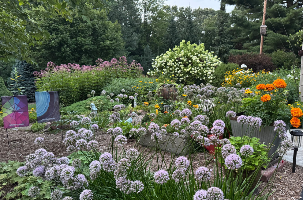 Dr. Dirr and Peegee Hydrangea