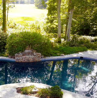 STEWART'S POOL SERVICE - Project Photos & Reviews - Keswick, VA US | Houzz