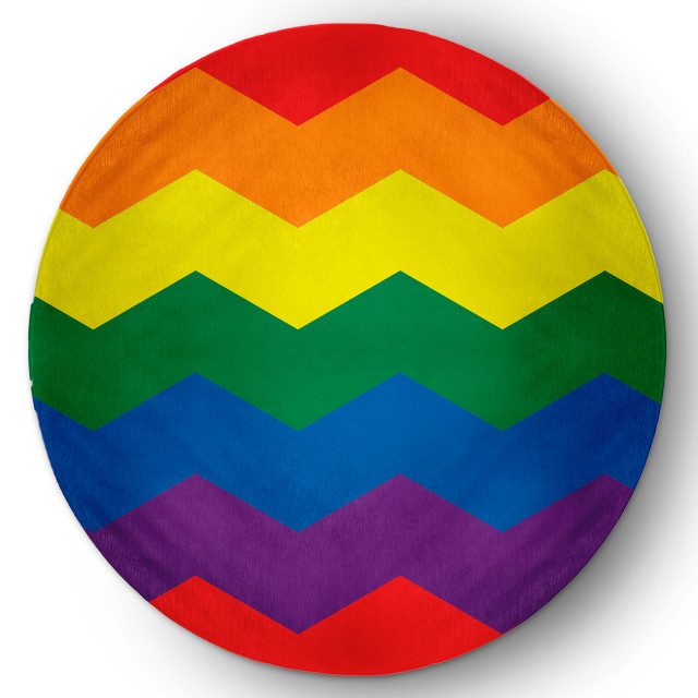 2' x 3' Pride Chenille Indoor/Outdoor Rug, 5' Round - Contemporary ...