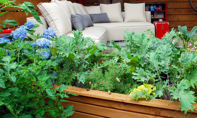 Step Right Outside for Fresh Herbs and Vegetables
