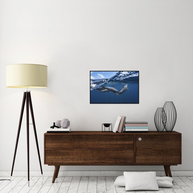 Dolphins, 30"x20" - Beach Style - Prints And Posters - by Global ...