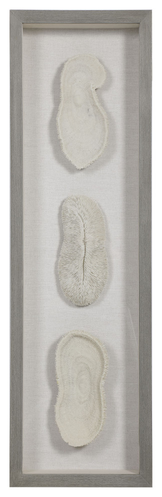 Uttermost White Coral Shadow Box - Beach Style - Wall Accents - by ...