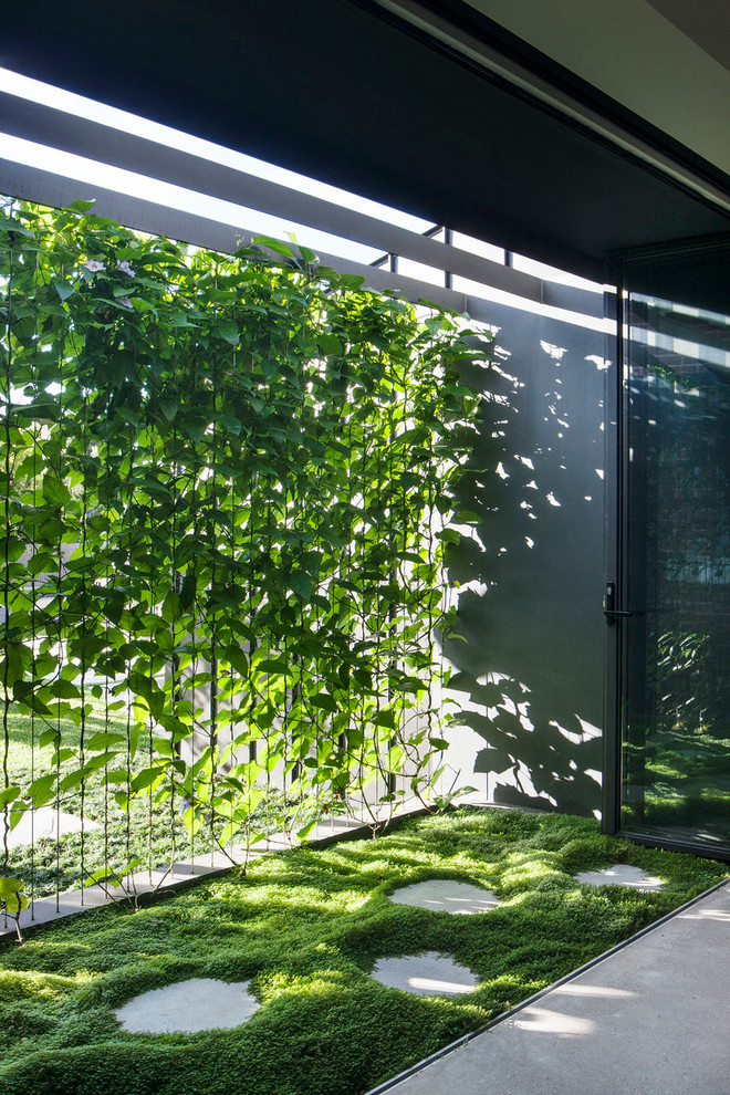 Shadow House - Melbourne - by Matt Gibson Architecture + Design | Houzz AU