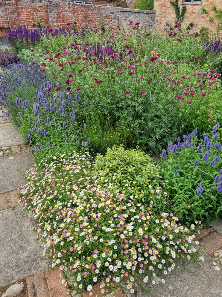 Design for a walled courtyard garden - Contemporary - Landscape - Other ...