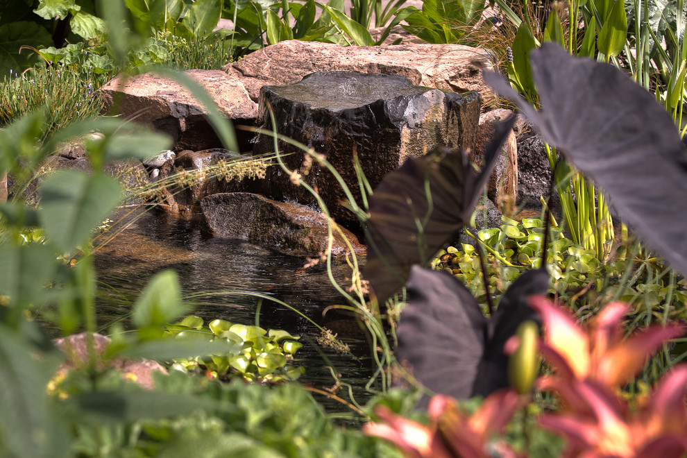 Natural pond - Traditional - Landscape - Portland - by Paradise ...
