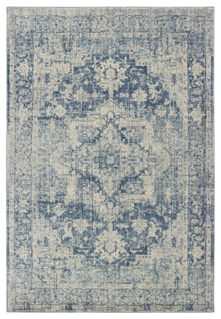 4??6??Ivory And Blue Oriental Area Rug, 20.77 - Contemporary - Area ...