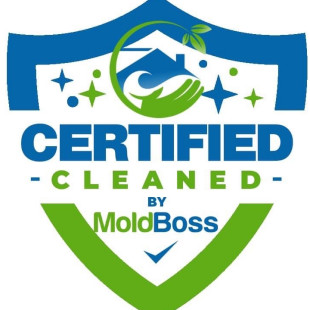 MOLD BOSS OF ATLANTA - Project Photos & Reviews - Marietta, GA US | Houzz