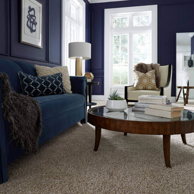 Serenade Indoor Shag Area Rug Carpet Collection, Tuxedo, 12x19, 9x15 ...