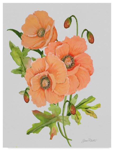 Jean Plout 'Botanicals 5' Canvas Art, 14"x19" - Contemporary - Prints ...