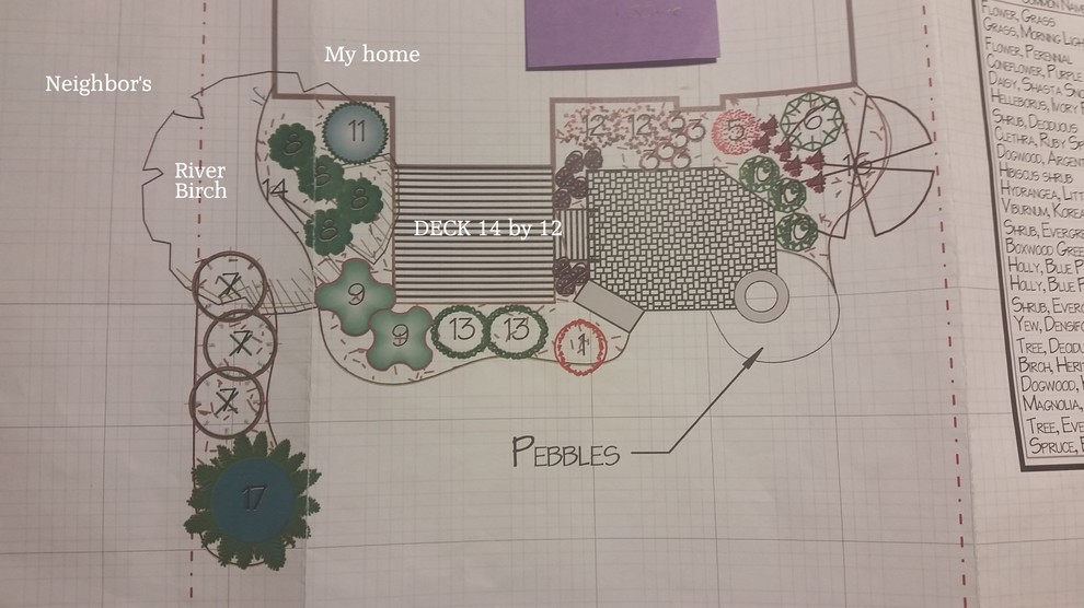 Need help, confused and unsure about landscape design.