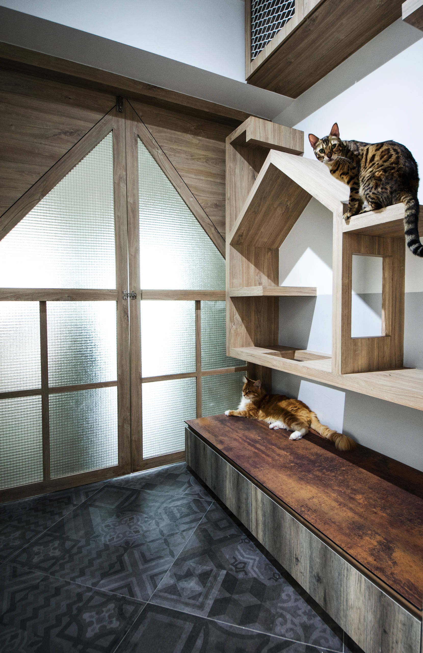 4 HDB Homes with Cat-Friendly Designs | Houzz